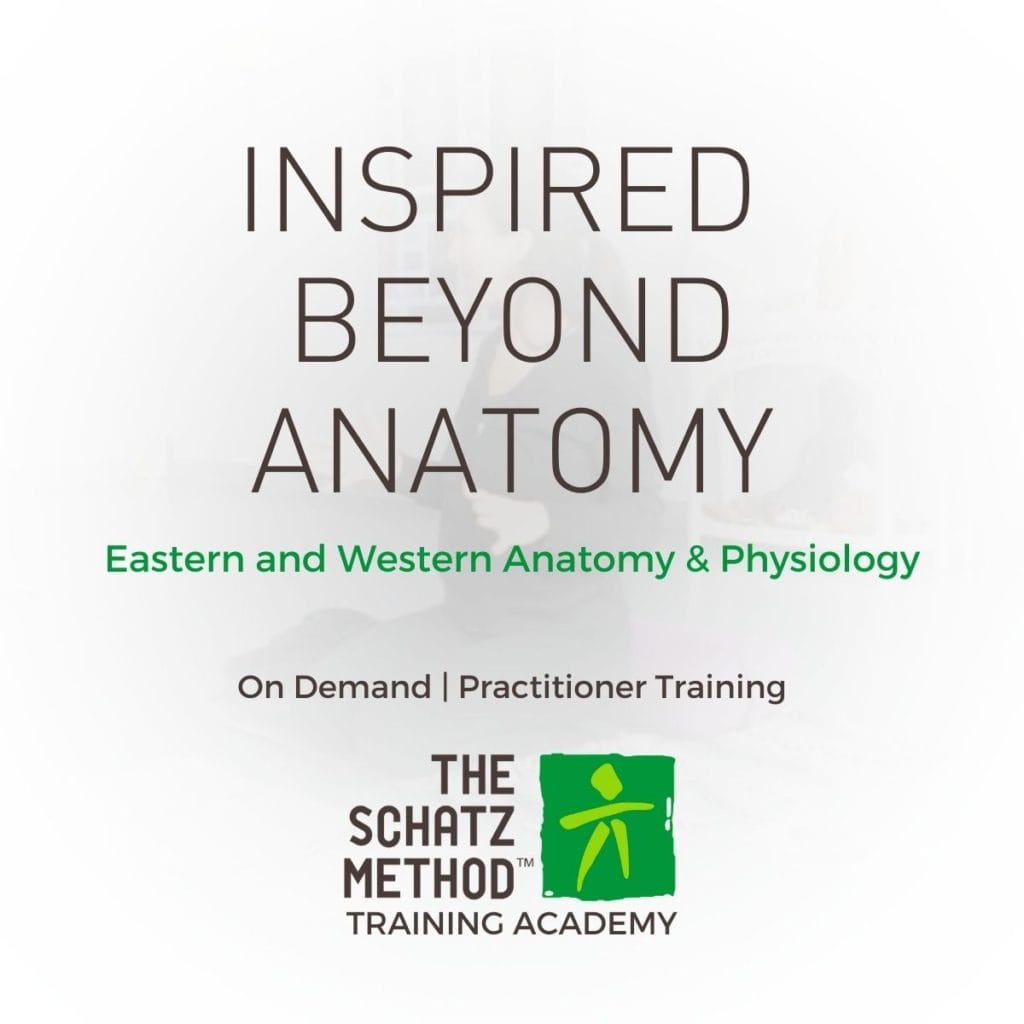 Inspired Beyond Anatomy - The Schatz Method